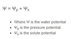 Water Potential Calculator | Formula | - Calculator Academy